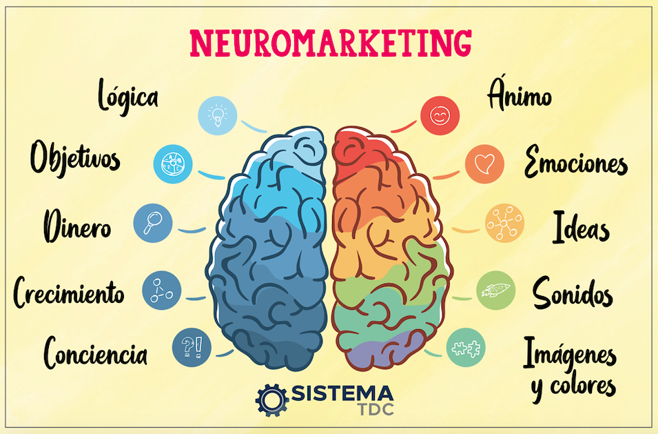 ¿Qué es el neuromarketing y por qué debes aplicarlo en tu negocio ... ¿Qué es el neuromarketing y por qué debes aplicarlo en tu negocio ...